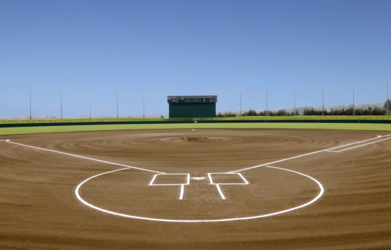 沖縄県内各地で始まったプロ野球キャンプ／Pro Baseball Camp in Okinawa - CHAMP CHICKEN